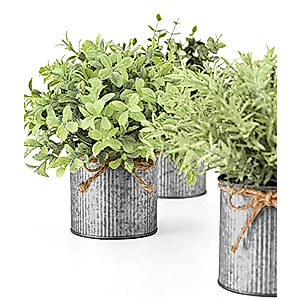 Mkono Mini Fake Plants in Farmhouse Galvanized Metal Pots Table Centerpiece Rustic Home Decor, 3 Pack Lightweight Potted Artificial Plants Faux Eucalyptus for Indoor Shelf Dining Room Office Decor
