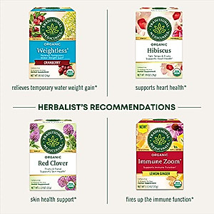 Traditional Medicinals Organic Dandelion Leaf & Root Herbal Tea (Pack of 1), Supports Kidney Function and Healthy Digestion, 16 Tea Bags Total