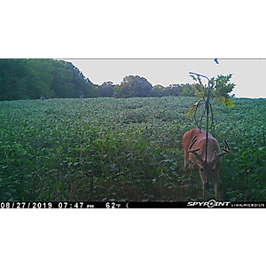 SPYPOINT Link-Micro-LTE Cellular Trail Cameras 10MP with Low-Glow and 32GB Micro SD Card (Link-Micro-LTE)