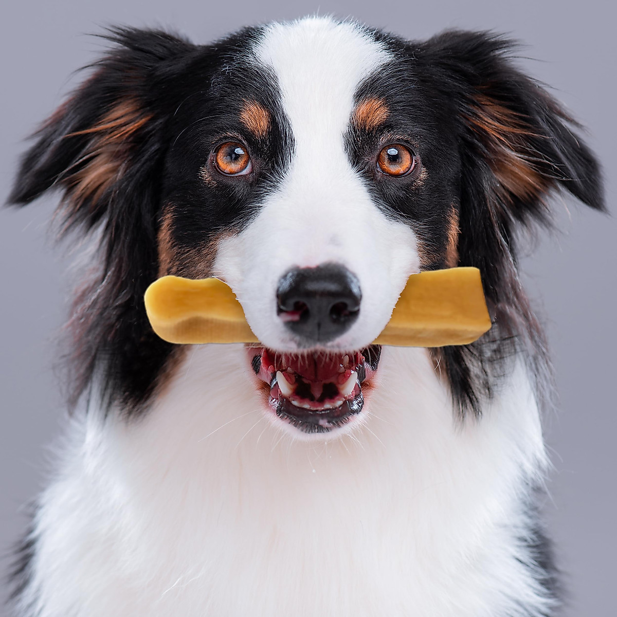 PIMA - Canine Cheese Chews, Natural Yak Chews for Dogs 35 lbs or Smaller, Lactose-Free Yak Cheese Dog Chews, Long Lasting Dog Chews with Protein and Vitamin E, D and A, Medium, 1 Chew, 2.3 oz