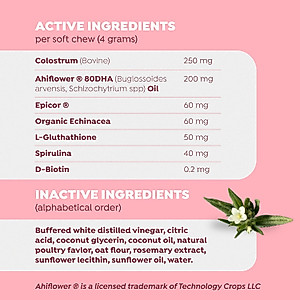 WagWell Allergy and Itch Chews – Chicken Flavored Dog Allergy Chews – Plant Based Dog Chews with Colostrum and Spirulina – Dog Skin and Coat Supplement for Itch Relief and Digestive Health, 60 Chews