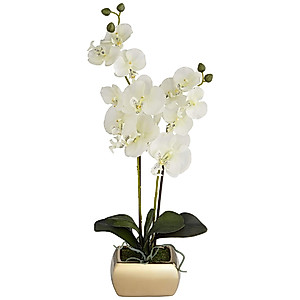 Dahlia Studios Potted Silk Faux Artificial Flowers Realistic White Phalaenopsis Orchid Greenery in Gold Ceramic Pot for Home Decoration Living Room Office Bedroom Bathroom Kitchen 22" High