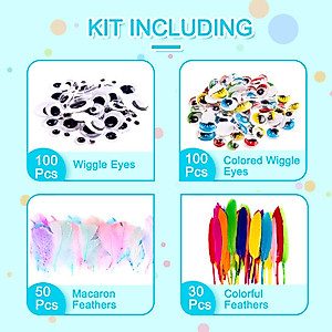 Whaline 1050 PCS Art Craft Kit Supplies 17 Styles Pipe Cleaners Pompoms Wiggle Googly Eyes Foam Flowers Letters Construction Papers Safety Scissors Sticks Heart Stickers Feather Felt Cloth Button