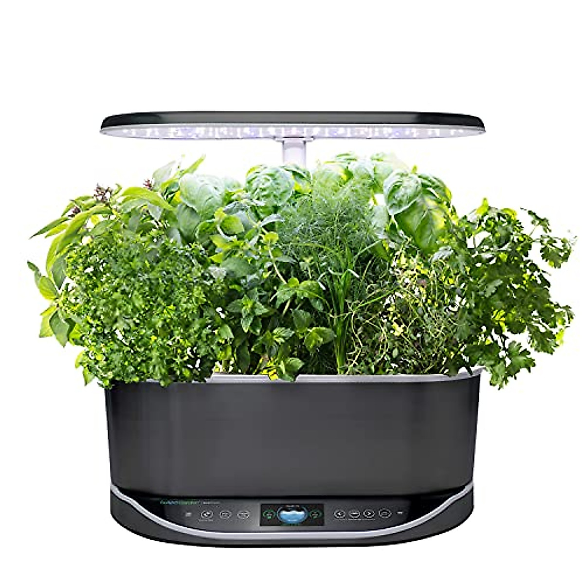 AeroGarden Bounty Elite - Indoor Garden, Platinum Stainless & Salad Greens Seed Pod Kit with Red and Green Leaf, Romaine and Butter Head Lettuce, Liquid Plant Food and Growing Guide (6-Pod)
