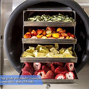 YHMYOALU - Set of 100 Rectangular Tray Mats for Harvest Right Freeze Dryer, 17" x 6.8", Disposable Parchment Paper, Easy to Use and Clean