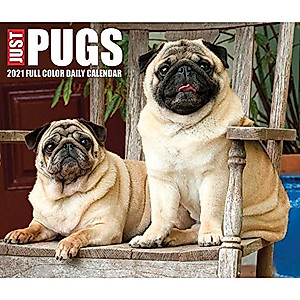 Just Pugs 2021 Box Calendar (Dog Breed Calendar)
