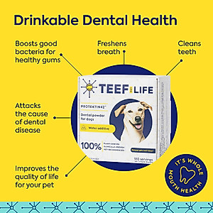TEEF! for Life Protektin42 Plant-Derived Dental Water Additive for Dogs, Daily Dental Care, Clinically-Proven Formula Naturally Fights Plaque and Tartar, Refill Packet with 30 Servings
