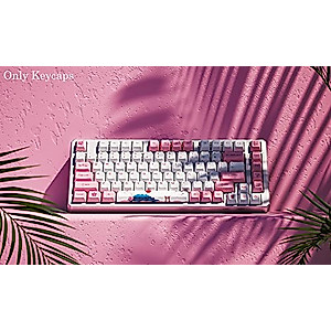 Akko World Tour Tokyo R2 185-Key Cherry Profile Dye-Sub PBT Keycaps Set for Mechanical Keyboards (English Version)