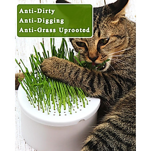 BENPIN 2Pcs Hydroponic Cat Grass Planter (no Seeds Included), Soil Free, No Dirt No Mess No Smell, Anti Digging Design, Easy to Plant Cat Grass Kit, Cat Grass for Indoor Cats Pets (Matte White)