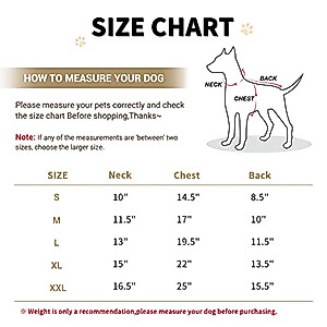 LESYPET Dog Sweaters for Small Dogs, Fleece Doggy Sweater Small Dog Clothes Warm Puppy Coat Dog Pullover for Small Dogs Girl Boy, Blue XX-Large