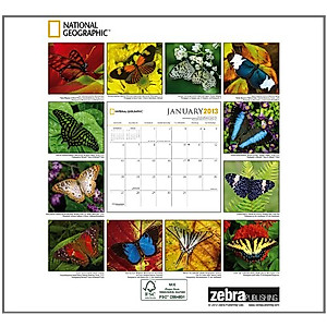 National Geographic Butterflies 2013 Calendar