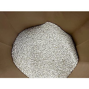 French Camp Grain - Safflower Seed Wild Bird Food - Bird Seeds for Outside Wild Birds - Wild Bird Seed - Bird Seeds for Outside Wild Birds 50 LB Bag