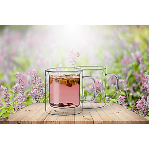 Red Rocks Double Wall Glass Coffee Mugs – Set of Two Hot-Drink Friendly Tea Cup Set – 12 Oz Capacity Clear Borosilicate Glass – Insulated Coffee Mugs With Handle