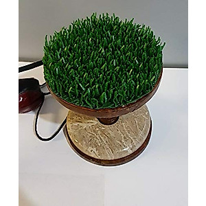 Falconry Wood Block Perch 5.5" Kestrel & Merlin, Marble & Astroturf (Small Size)