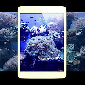 ZenHoo For iPad 9.7 (6th Gen,2018), iPad 9.7 (5th Gen, 2017), iPad Pro 9.7, iPad Air 2, Air 1, Anti Blue Light [Eye Protection] Tempered Glass Screen Protector