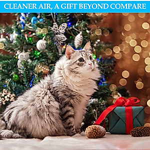 Morrerfresh Ozone Odor Eliminator for Strong Odor 99% Cat Litter Deodorizer Dog Poof Odor Removal Air Ionizers for Home Portable Air Purifier for Pets Toilet Wardrobe Shoe Garage Room Cabinet White