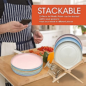 SHECIPIN 12 PACK 6 Inches Lightweight Mini Wheat Straw Plates,Reusable Plate Set Dishwasher & Microwave Safe,Unbreakable Deep Dinner Plates, Plastic Plates Reusable,They are easy to clean BPA free