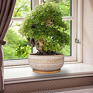 G EPGardening 8 Inch Ceramic Succulent Planter Pots for Indoor Plants Round Shallow Bonsai Planter Pot with Drainage and Bamboo Saucer White