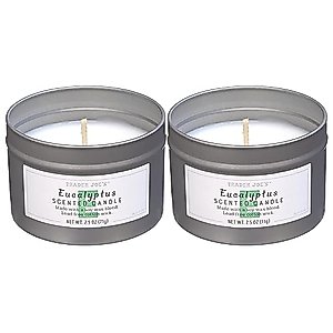 Trader Joe's Eucalyptus Scented Soy Candle (2 Pack)