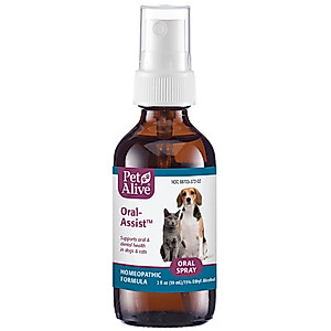 PetAlive Oral-Assist - Natural Homeopathic Formula Supports Oral and Dental Health in Dogs and Cats - Supports Healthy Teeth and Gums in Pets - 59 mL