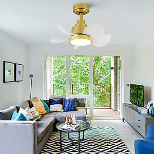 Ceiling Fan With Lights and Remote,Large Airflow 22inch Quiet Reversible Noiseless DC Motor 5 Blades Ceiling Fans for Indoor Bedroom Living Room Room Patio(White Gold)