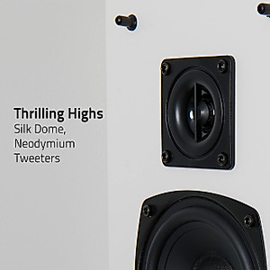 Fluance Elite High Definition 2-Way Bipolar Surround Speakers for Wide Dispersion Surround Sound in Home Theater Systems - Black Ash/Pair (SXBP2)