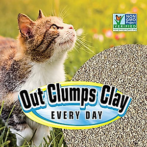 SmartCat All Natural Clumping Litter, 20-Pound (6506), (Pack of 1), 320 Ounce.