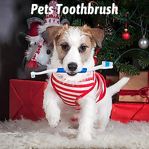 Newday Pet Toothbrush for Dogs, Cats, Double Headed Dog Toothbrush with Soft Bristles, Easy Teeth Cleaning, Non Slip Dog Toothbrushes in Bulk (Pack of 3)