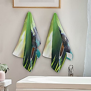 Bamboo Hand Bath Towel Set of 2 Concept Zen Basalt Stones Face Towels Kitchen Dishcloth Washcloths Soft Absorbent Quick Dry for Bathroom Yoga Decor 30x15 in