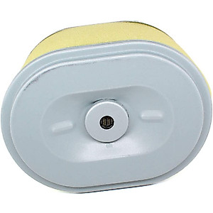 BEIYIPARTS 4X Air Filter & Fuel Filter for GX160 5.5HP GX200 6.5HP GX110 GX120 GX140 Lawnmower Replace 17210-ZE1-822 17210-ZE0-822 17210-Z4M-821 17210-ZE1-517