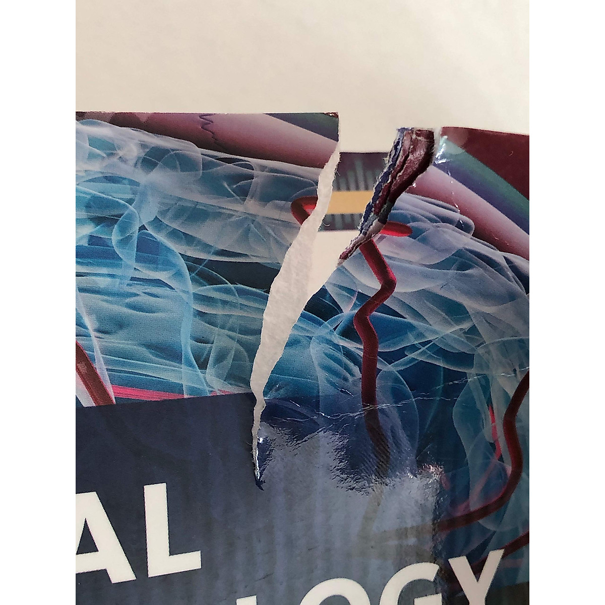 Medical Terminology for Health Professions, Spiral bound Version