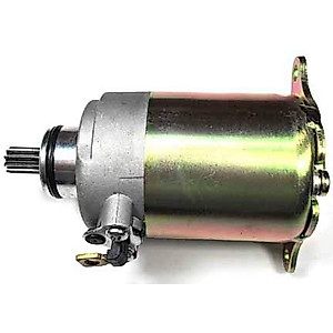 Vitacci Rover 200 169EFI,Rover 200 EFI-Dump Bed, Electric Starter Motor