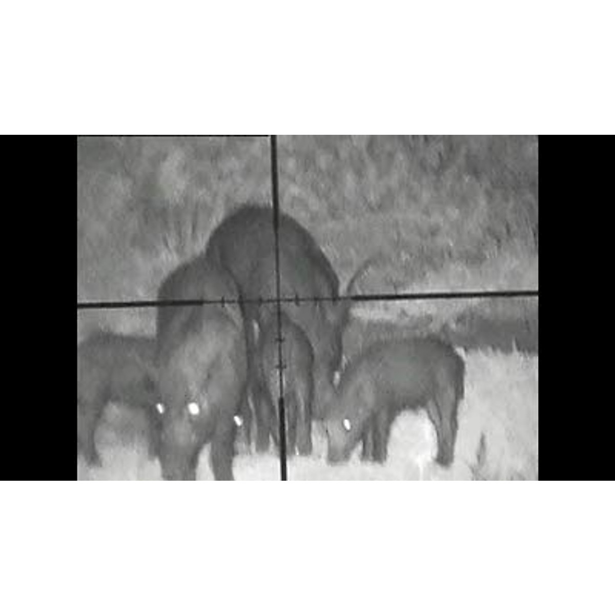 Night Vision Scope Attachment 3D