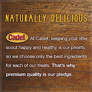 Cadet 100% Beef Strips Dog Treats - Long-Lasting, Healthy & Natural Beef Esophagus Treats for Small & Large Dogs - Low Calorie & High Protein Dog Chews (8 oz.)