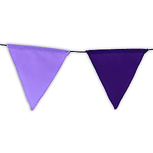 Hands Of Tibet LLC Handmade Blank Triangle Prayer Flags Surged Edges Put Your Own Prayers (Blank-Triangle-Seven-Chakra-6"X6")