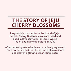 innisfree Cherry Blossom Dewy Glow Emulsion Face Moisturizer