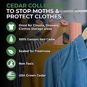 61 Pack Cedar Blocks, Sachets, Rings, Balls – Stop Clothes Damage – The Ultimate Cedar Collection to Protect Your Clothes