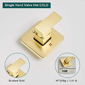 Hoimpro Adjustable Extension Shower Arm Shower System with 8 Inch Rain Shower Head Wall Mounted Shower Kit, Bathroom Rainfall Shower Faucet Fixture Combo Set with Rough-in Valve Body, Brushed Gold