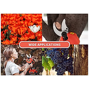 Cordless Pruning Shears, Electric Pruner with 2 Pack 21V Lithium Battery, SK5 Blades, 1.2 Inch Cutting Diameter (21V pruner)