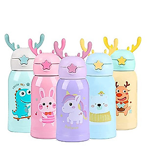 Kids Water Bottle 17 Oz 316 Stainless Steel Vacuum Insulated Thermos With Straw (Horse)