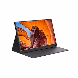 DFZ Portable Monitor, 15.6in IPS 1920X1080 Computer Display,Display Game Console Computer for Laptop