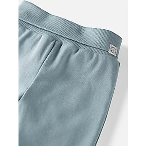 little planet by carter's unisex-baby 2-pack Terry Pants made with Organic Cotton, Meadow/Charcoal, Newborn