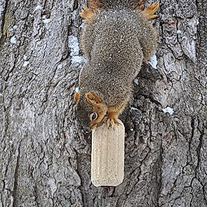 C&S Sweet Corn Squirrelog, 6-Pack Refill