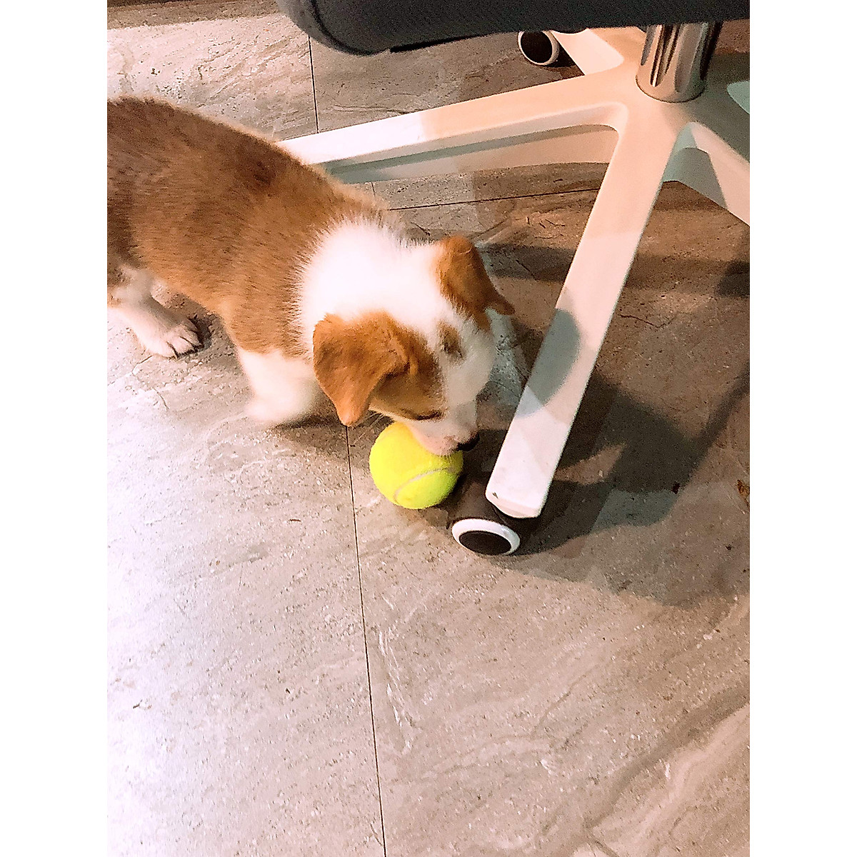 insum Tennis Ball for Dog Pack of 12 Colorful Easy Catching Pet Dog Ball (2.5inch-4colors)