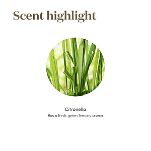 Essential Oil Citronella 15 ml Young Living Malaysia + Free Standard Shipping