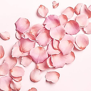 Nativa SPA by O Boticário, Rosé Moisturizing Body Lotion, Deeply Moisturize and Nourish Skin, 13.5 Ounce