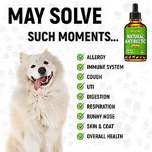 Antibiotic for Cats | Natural Antibiotics for Dogs | Cat Antibiotics | Dog Antibiotic | Antibiotic for Dogs | Natural Antibiotics for Cats | Natural Dietary Supplement Pet Antibiotic | Beef | 2 Oz