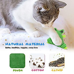 Catnip Toys for Indoor Cats, 12 Pack Crinkle Interactive Cat Toy, Cat Chew Toy for Aggressive Chewers Bite Resistant, Squeaky Catnip Cat Toys Rattle Plush Stuffed Pet Toys, Relieve Stress Kitten Toys