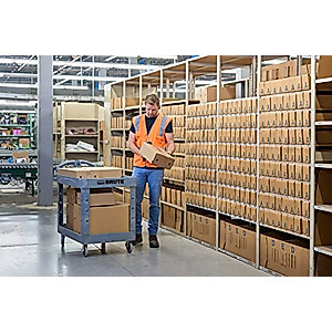 Rubbermaid Commercial Products Brute Heavy Duty 2-Shelf Utility/Service Cart, Medium, Lipped Shelves, Ergonomic Handle, 500 lbs. Capacity, Gray, for Warehouse/Garage/Cleaning/Maintenance/Stadiums