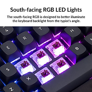 Keychron Q2 Wired Custom Mechanical Keyboard, QMK/VIA Programmable Macro, Full Aluminum, Hot-Swappable Gateron G Pro Brown Switch, 65% Layout Double Gasket Compatible with Mac and Windows - Black